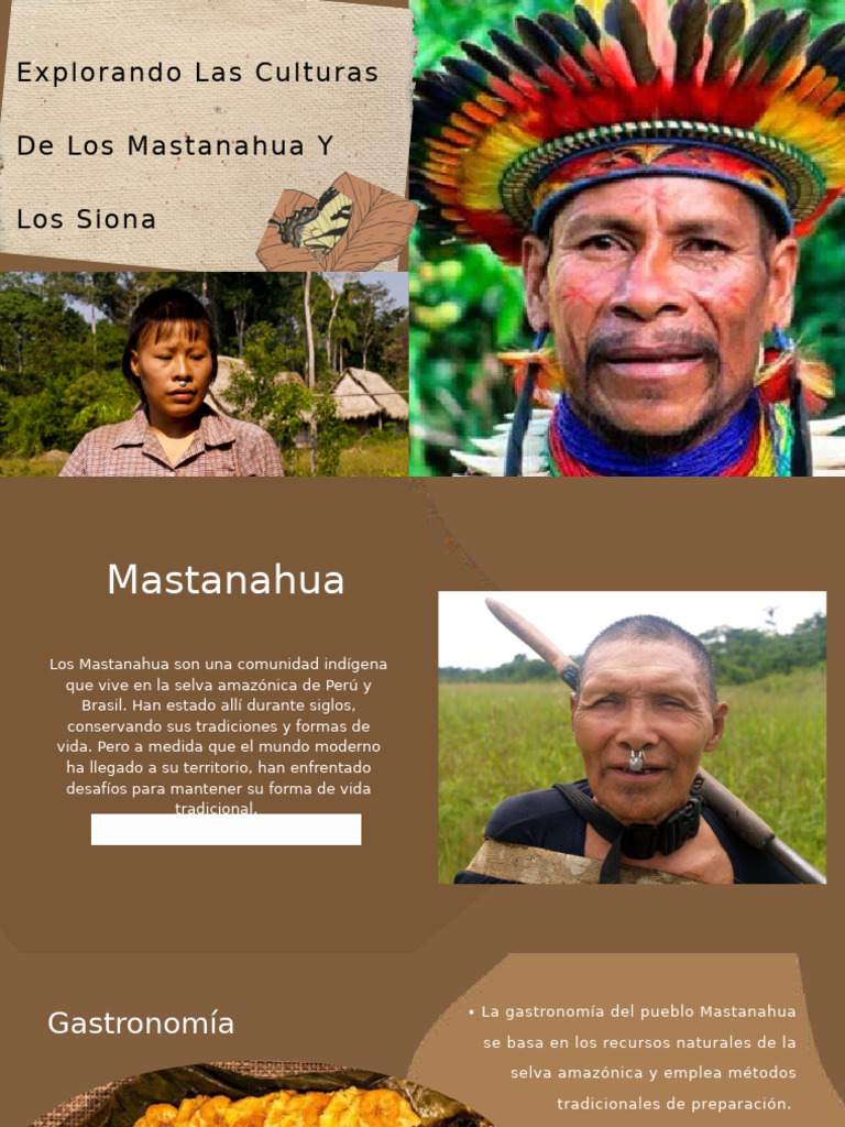 Culturas Mastanahua y Siona en la Amazonía | PDF | Bailes | Selva amazónica