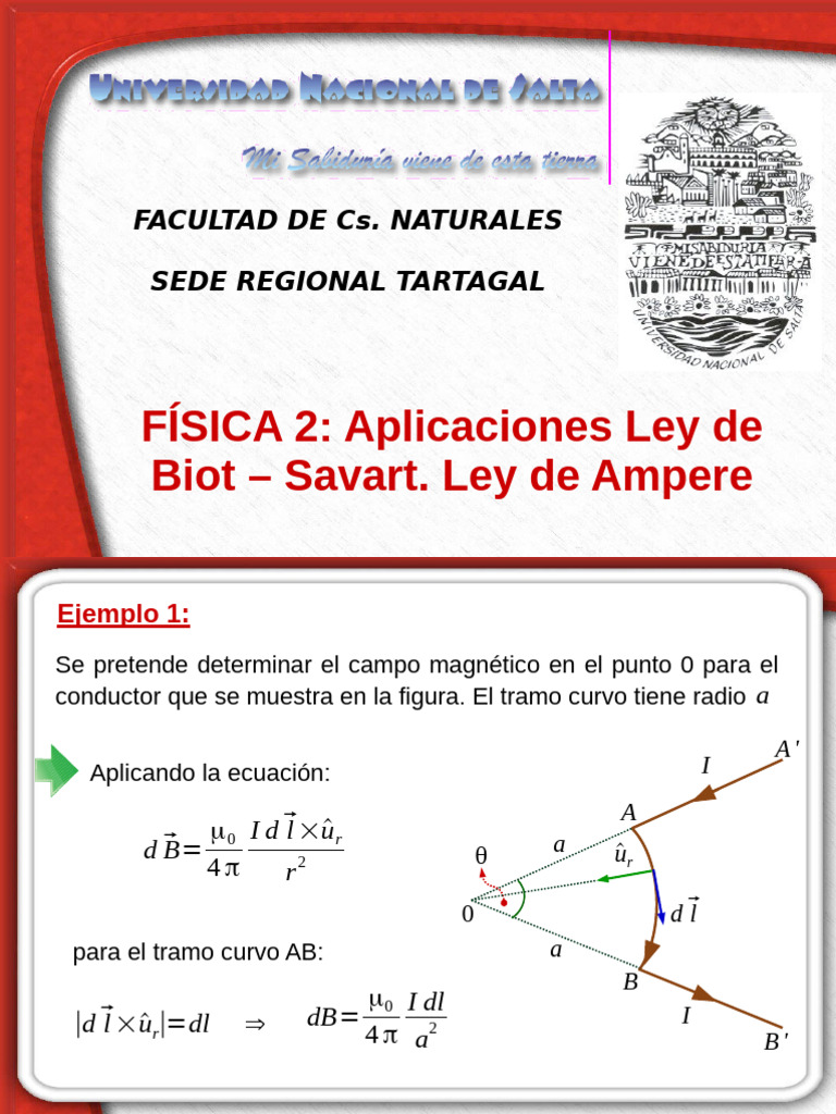 Teoria 6 - Aplic Biot-Savart y Ley de Ampere | PDF | Campo magnético | Electromagnetismo