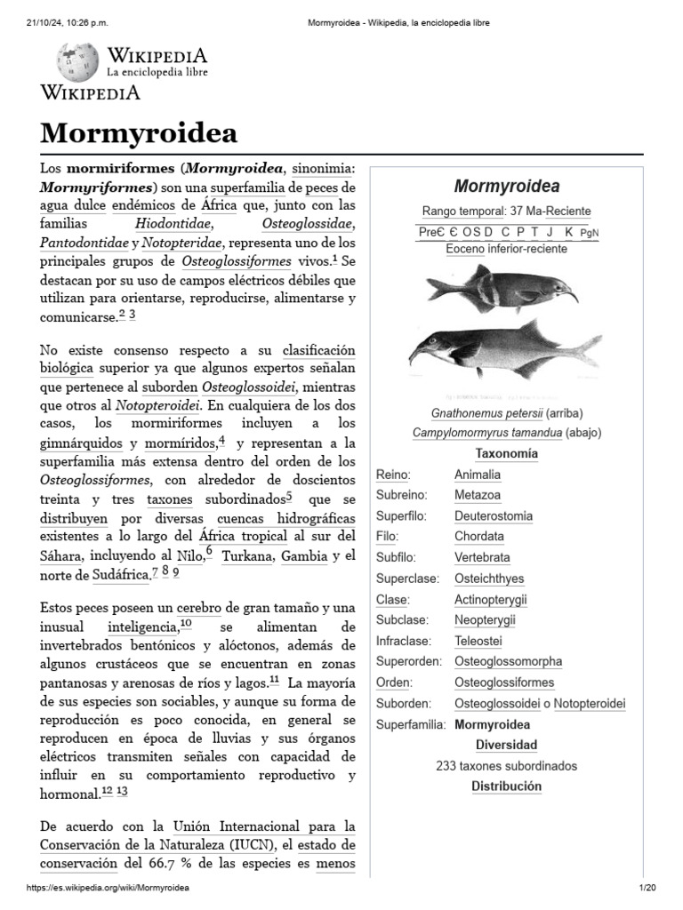 Mormyroidea | PDF | Pescado
