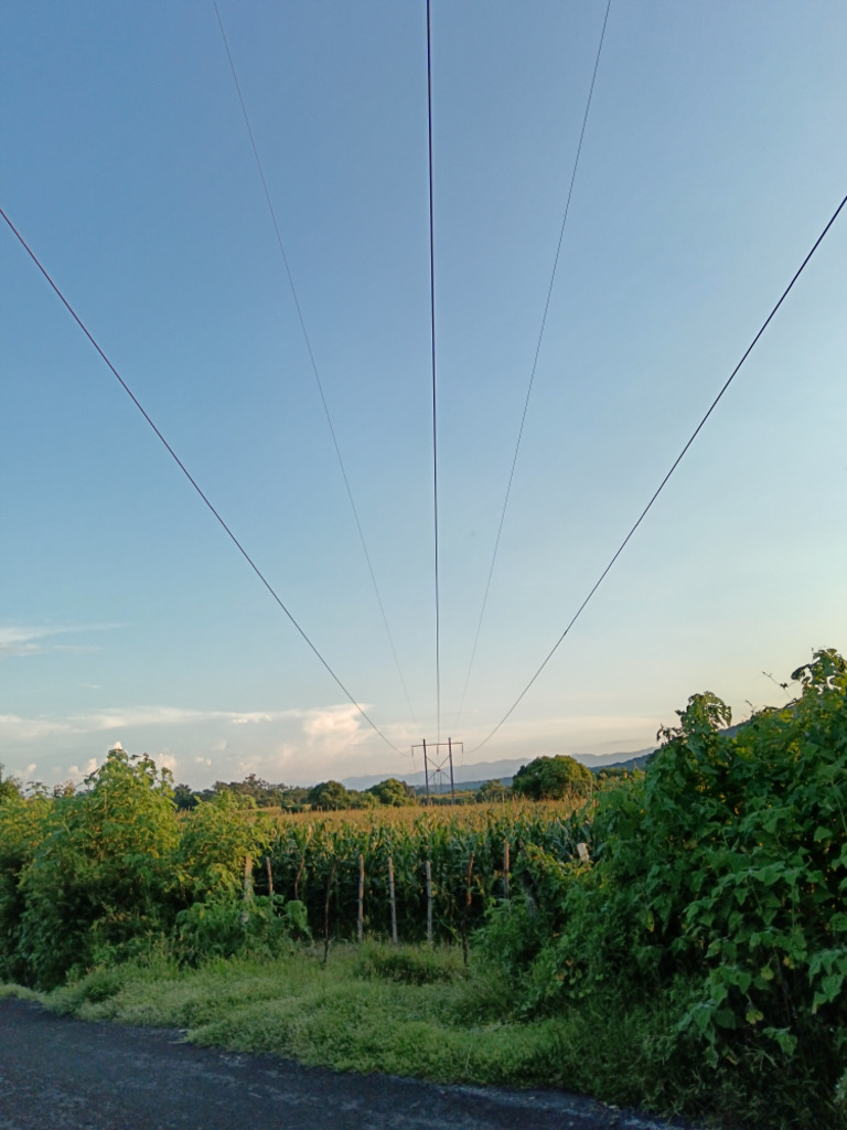 Picsart - 24 10 21 - 19 27 18 392 | PDF