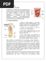 Oliguria y Anuria: Definición y Causas | PDF | Riñón | Especialidades ...