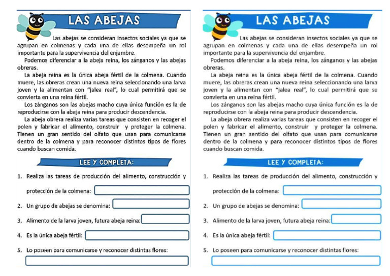 Lectura Abeja | PDF