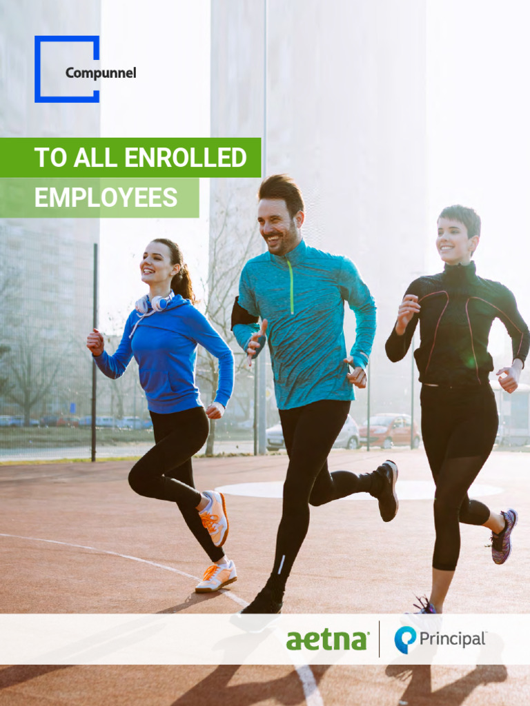 Brochure Compunnel Updated | PDF | Financial Services | Public Services