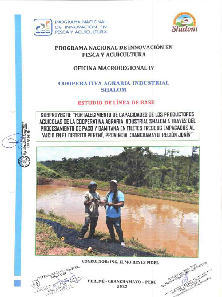 Line de Base Ok | PDF