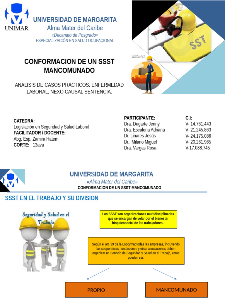 PRESENTACION GRUPO 2 Definitivo para Presentar | PDF | Enfermedades y trastornos