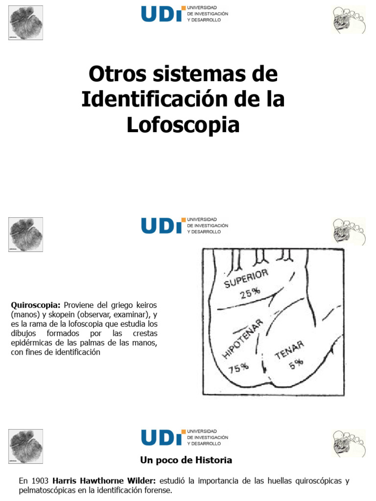 Quiroscopia y Pelmatoscopia: Identificación Forense | PDF