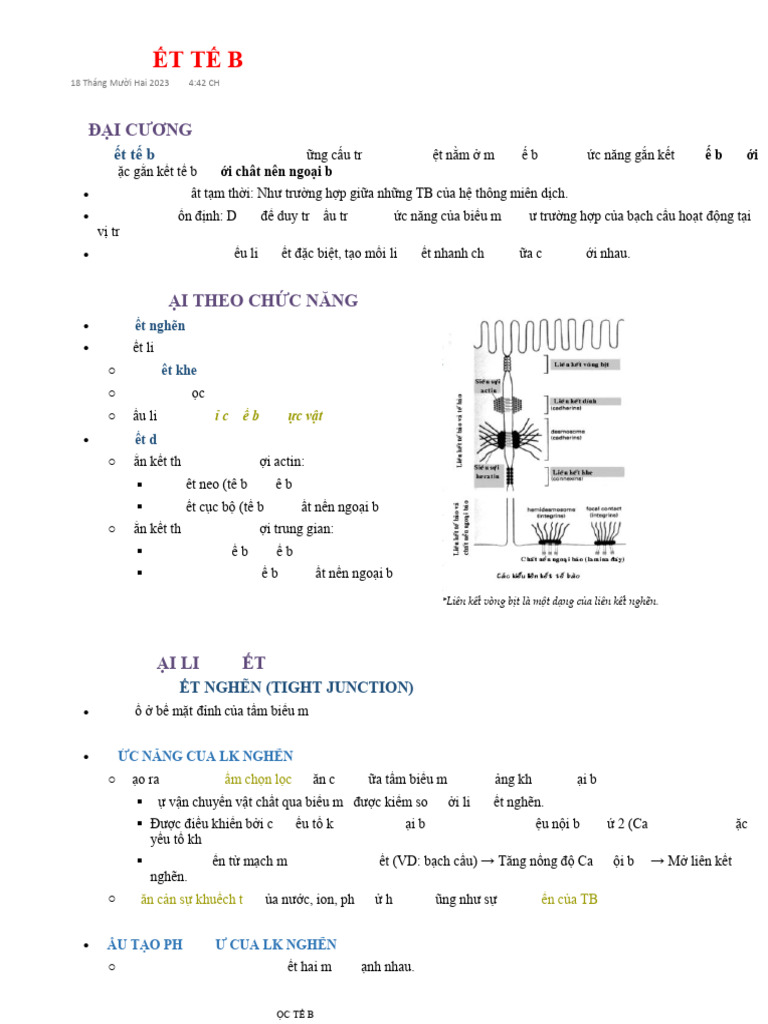 LIÊN KẾT TẾ BÀO | PDF