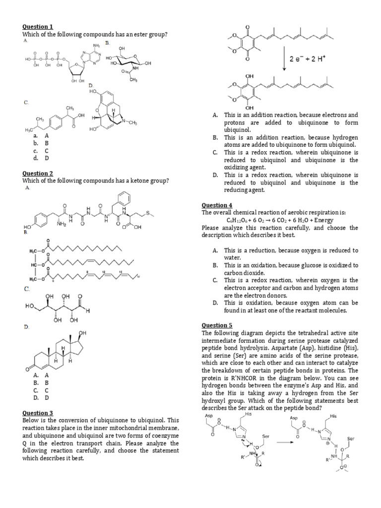 BIOCHEMISTRY II (100 Items) | PDF | Adenosine Triphosphate | Metabolism