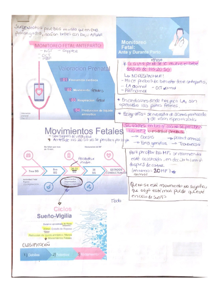 Monitoreo Fetal Anteparto | PDF