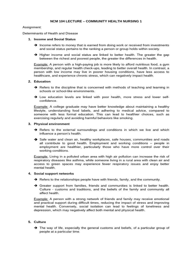 CHN Activity | PDF | Maternal Health | Mental Health