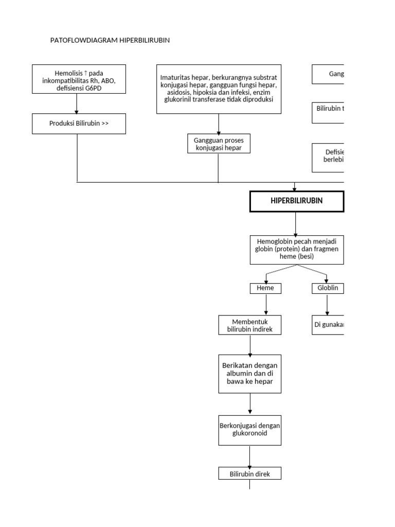 PATOFLOWDIAGRAM HIPERBILIRUBIN | PDF
