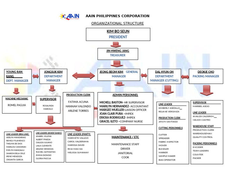 AAIN Philippines Corporation Structure | PDF