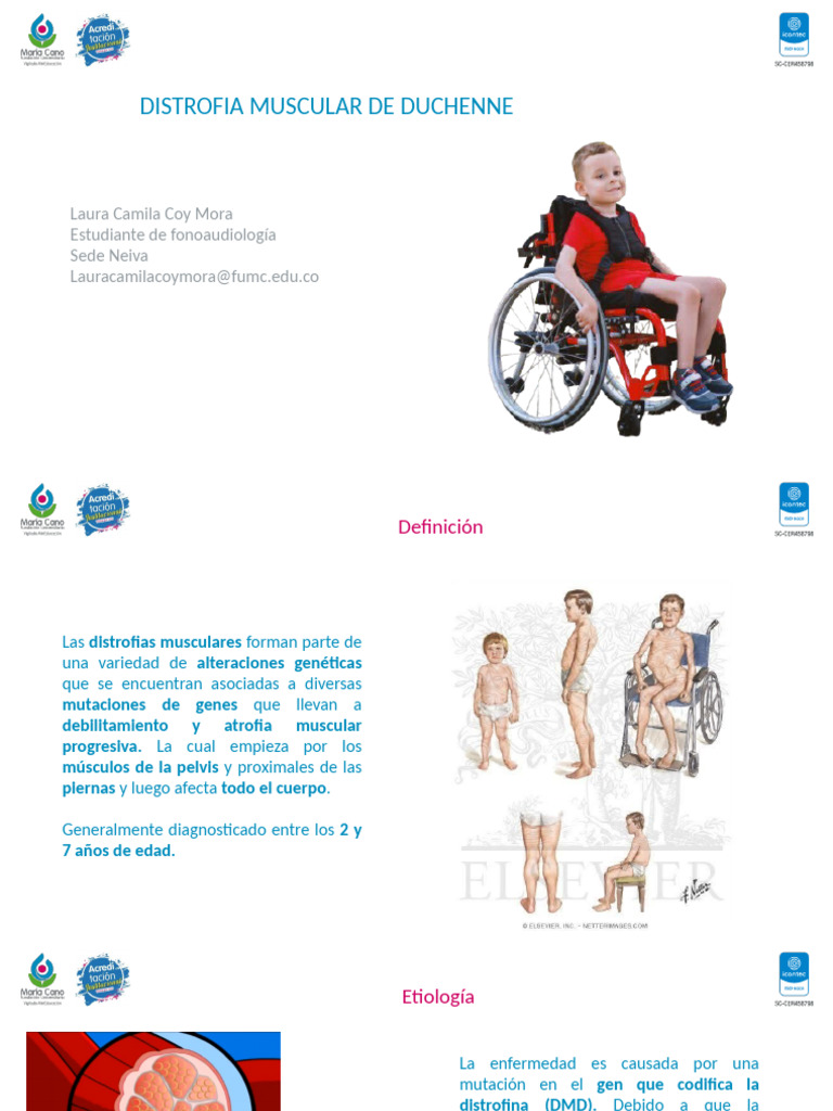 Distrofia Muscular de Duchenne | PDF | Enfermedades y trastornos ...