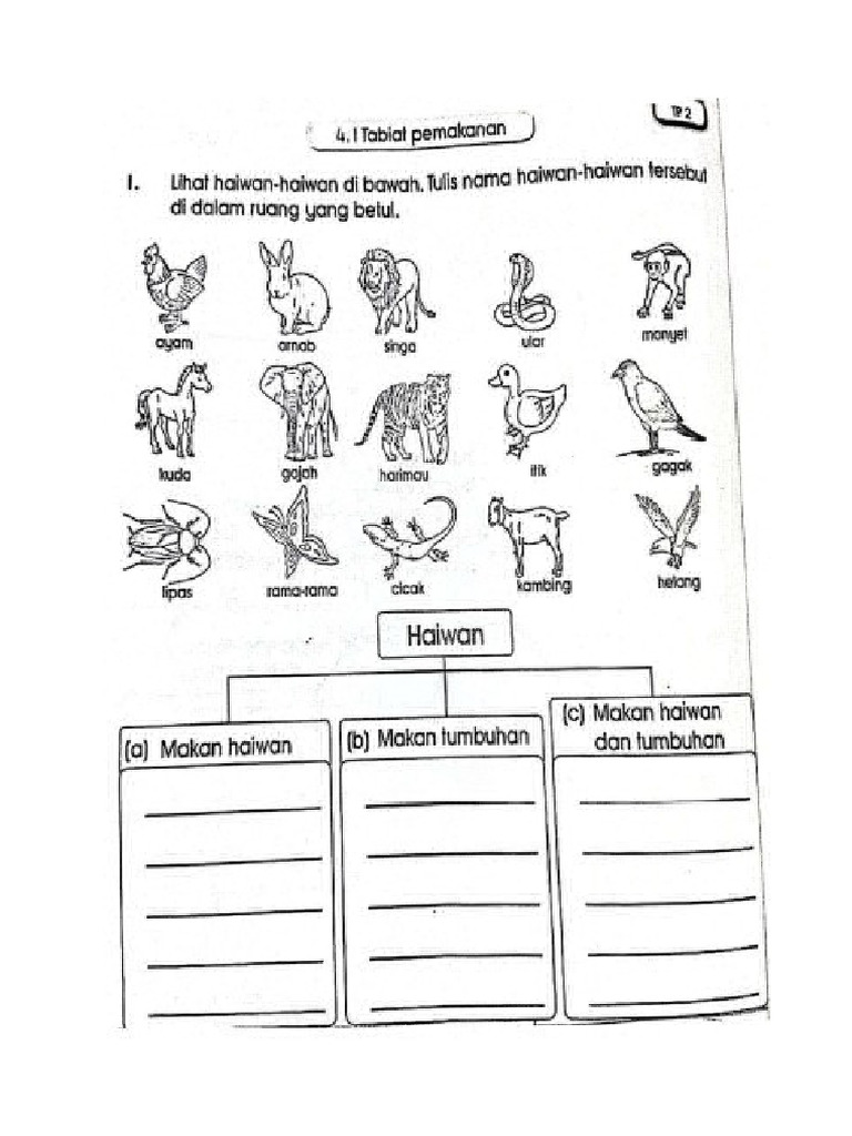 Sains Tahun 3 Tabiat Makan Haiwan | PDF