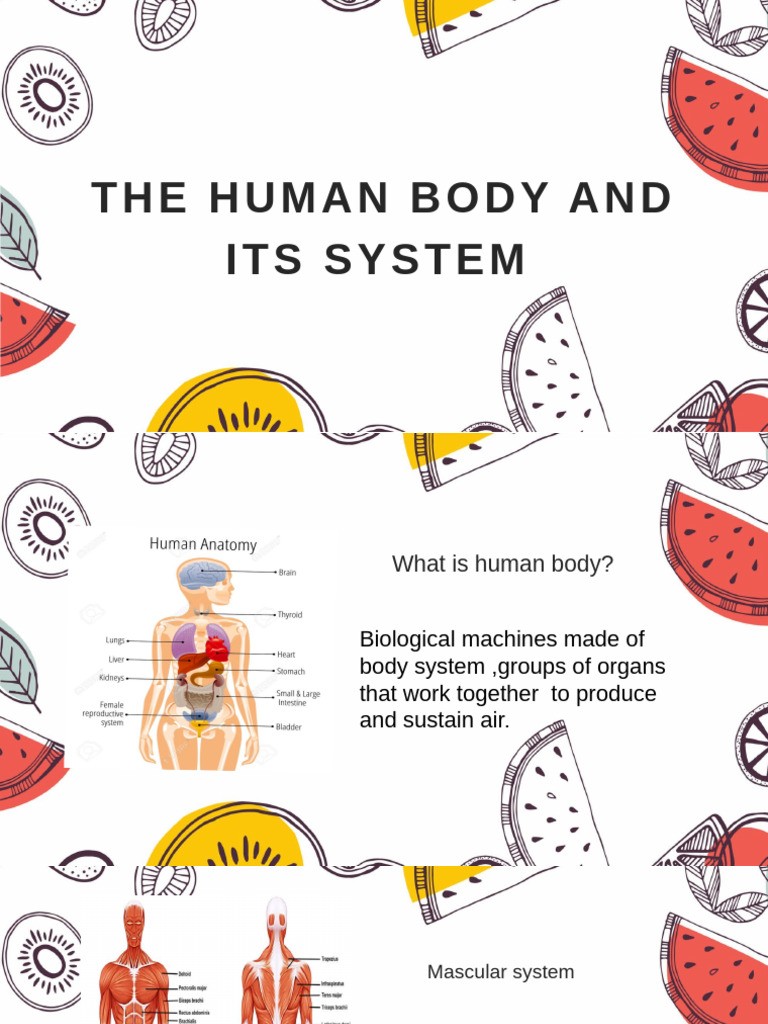 Overview of Human Body Systems | PDF