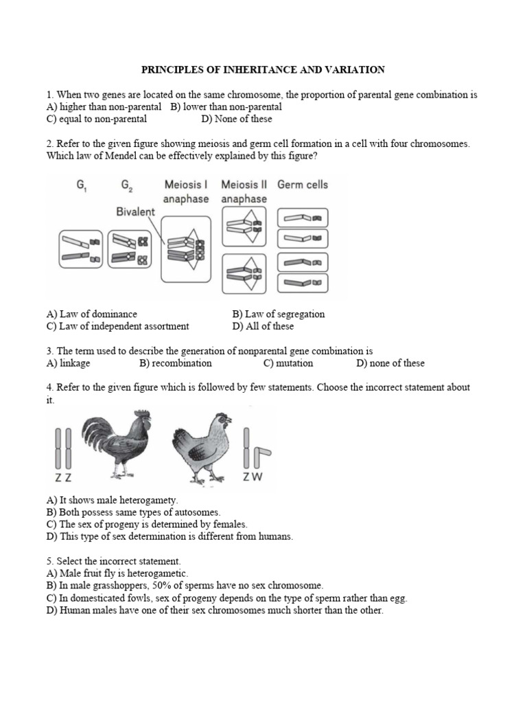 Genetics Assignment - April 20 | PDF | Dominance (Genetics) | Genetic ...