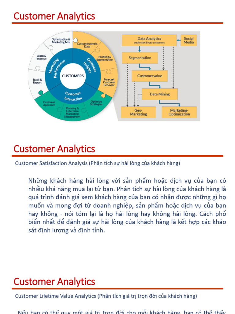 Customer Analytics | PDF