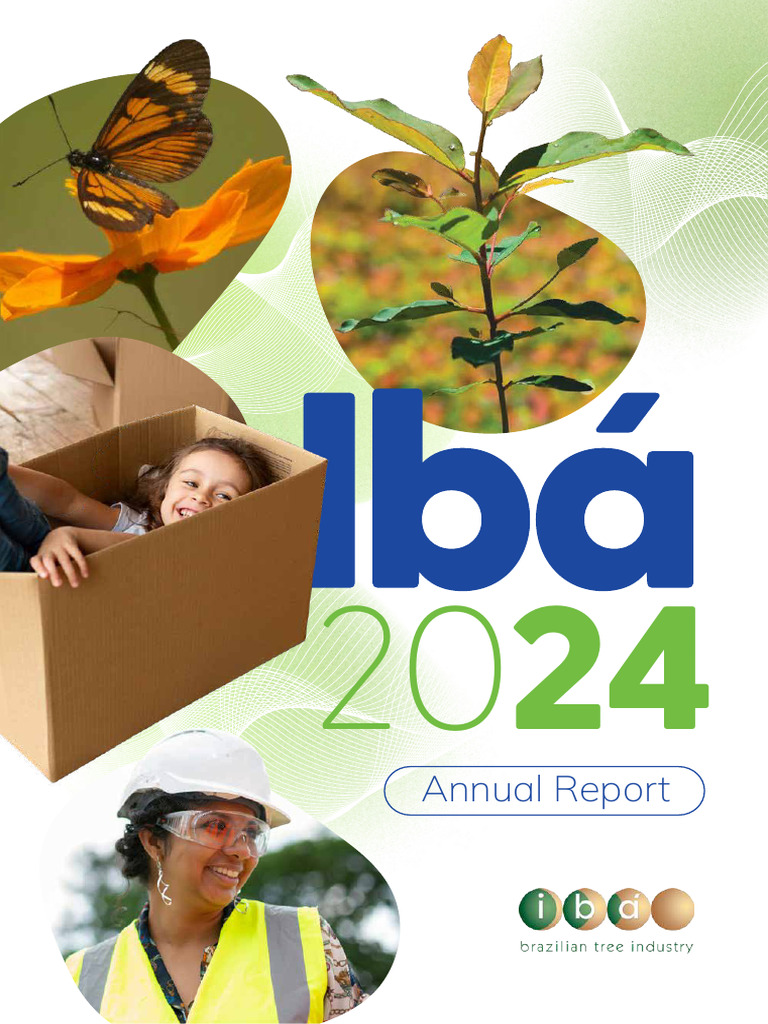 Annual Report 2024 | PDF | Climate Change Mitigation | Renewable Energy