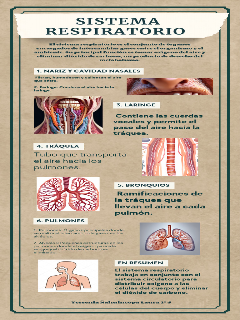 Yessenia Ñahuincopa Laura 2° J - 20241001 - 233401 - 0000 | PDF