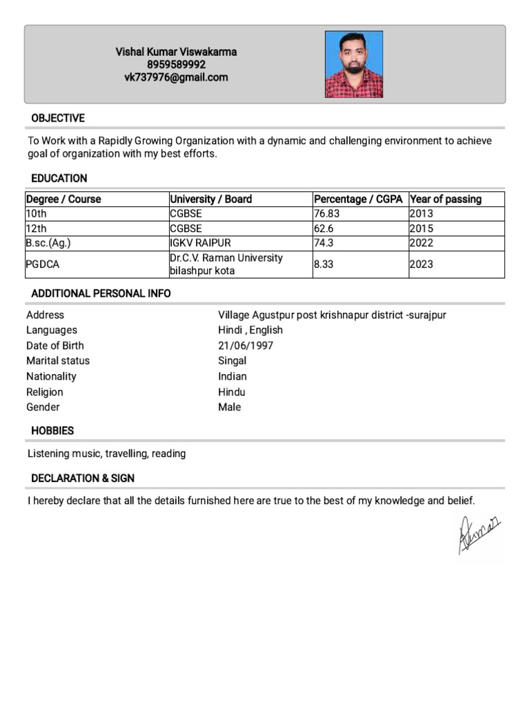 Vishal Kumar Viswakarma | PDF