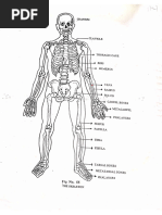 Remedial Mathematics Unit 2 | PDF