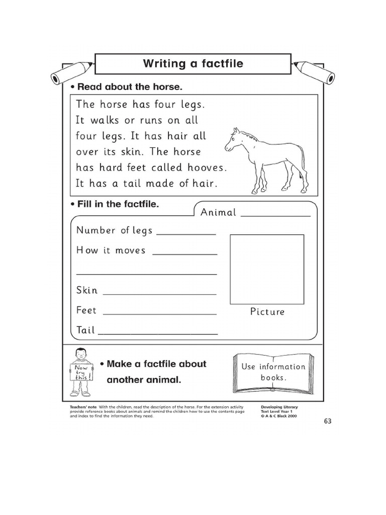 Horse Fact File Year 2 | PDF