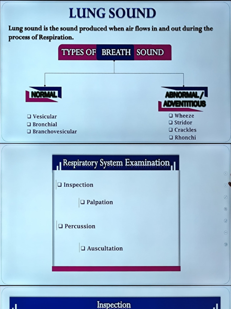 Lung Sound | PDF | Lung | Exhalation