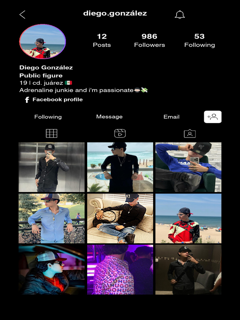 Instagram Fake Profile | PDF
