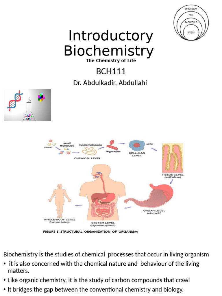 Introductory Biochemistry | PDF | Biochemistry | Chemistry