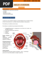 Arco de Riolano | PDF | Tinción | Anatomía