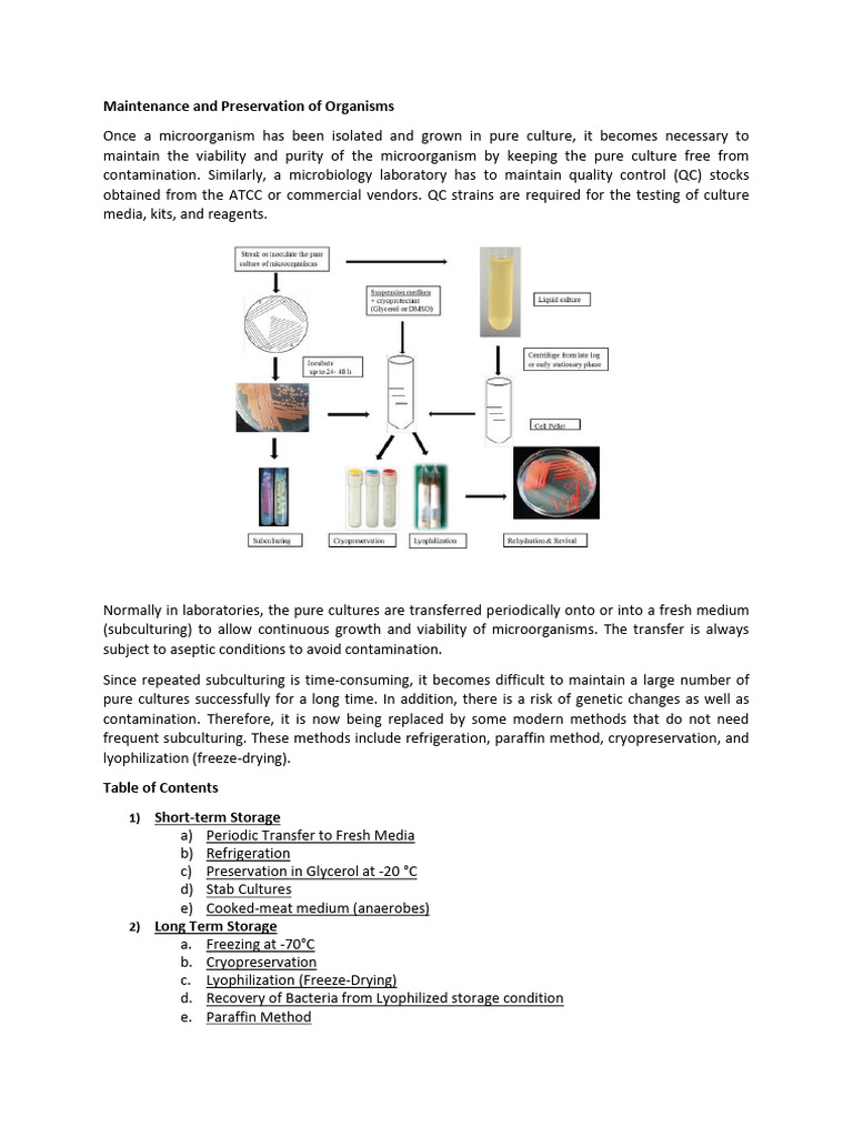 Microorganism Culture Maintenance Methods | PDF | Growth Medium ...