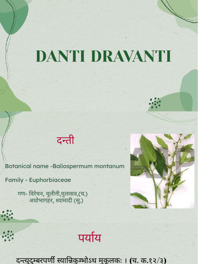 Slidesgo Scopriamo Il Danti Dravanti Un Viaggio Tra Storia e Curiosita ...