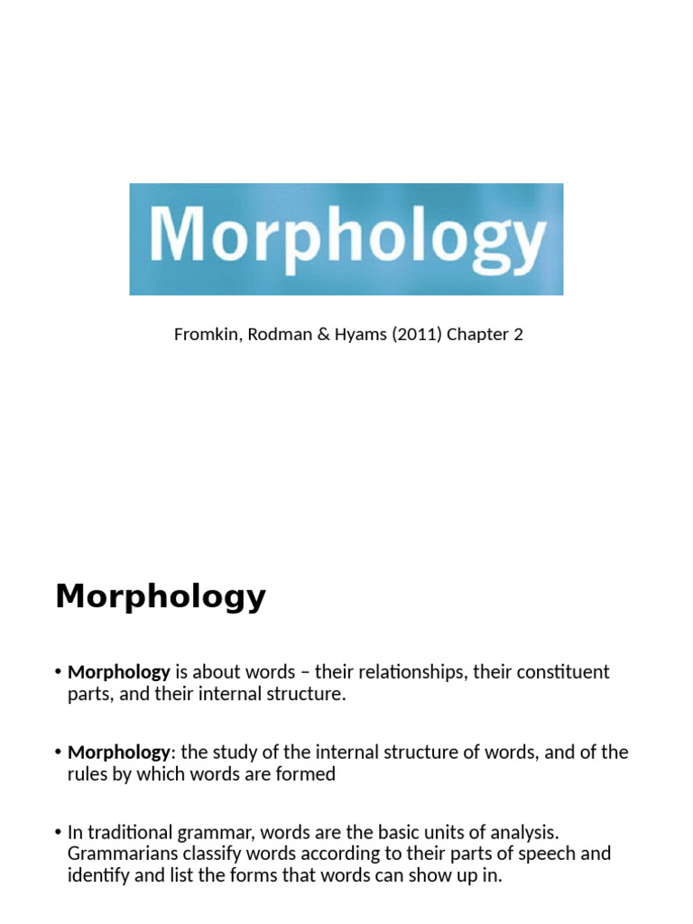 Ch2 Morphology updated Student version | PDF | Word | Morphology (Linguistics)
