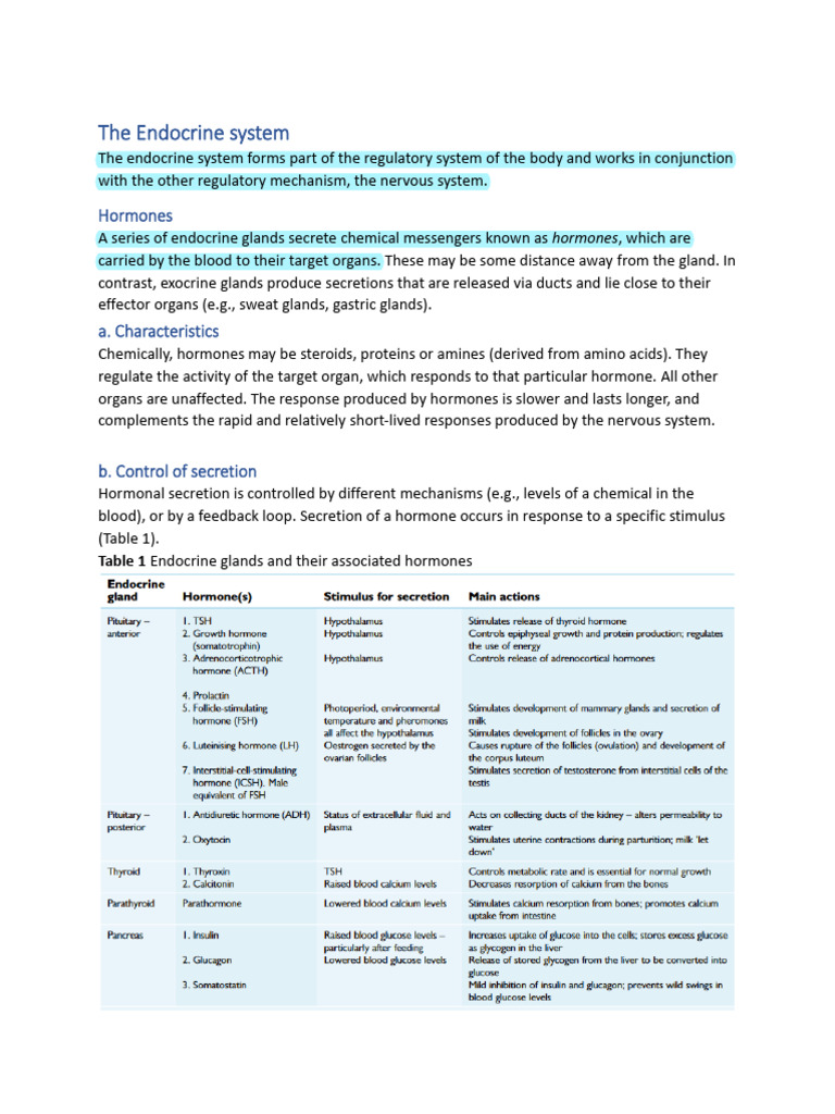 The Endocrine system | PDF | Pancreas | Endocrine System