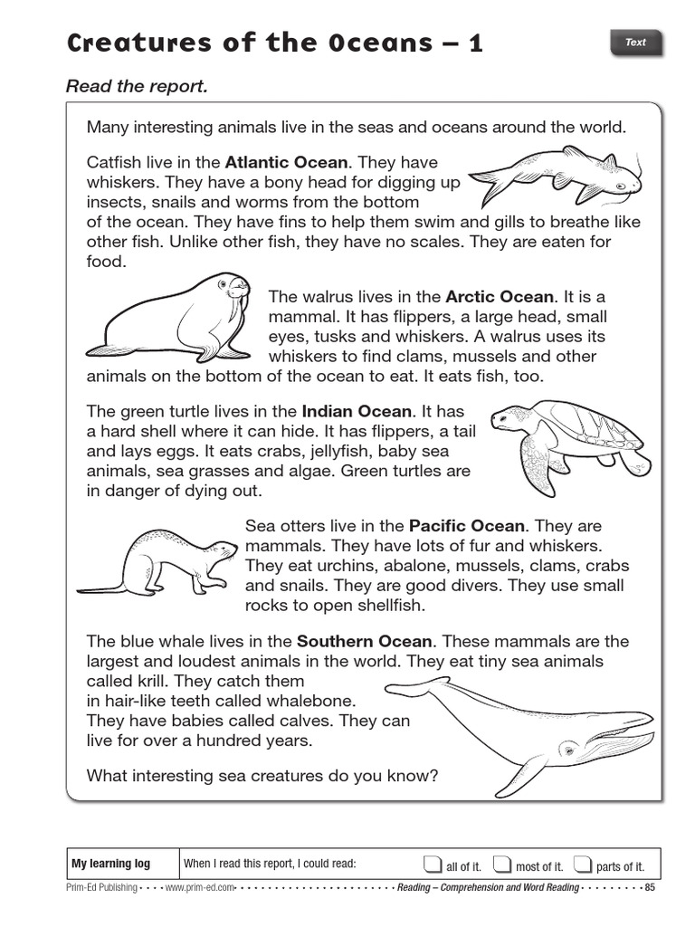 Y1 Comp 13 Creatures of The Oceans | PDF | Fish | Sea