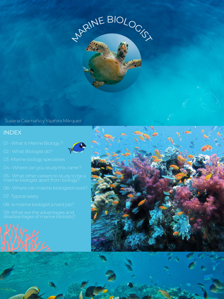 Marine Biology Career Guide | PDF | Marine Biology | Biologist