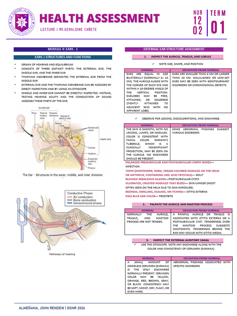 MODULE 4_EARS-P1 | PDF | Ear | Hearing