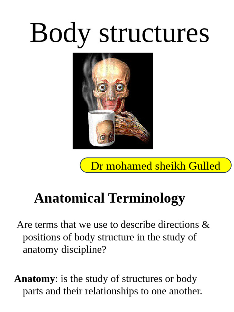 C H A P T E R 2 Medical Terminology | PDF | Anatomical Terms Of ...