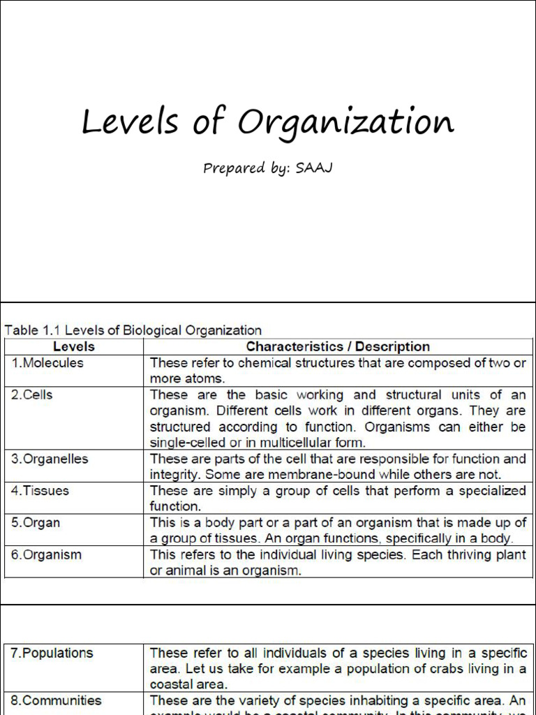 Levels of Organization | PDF