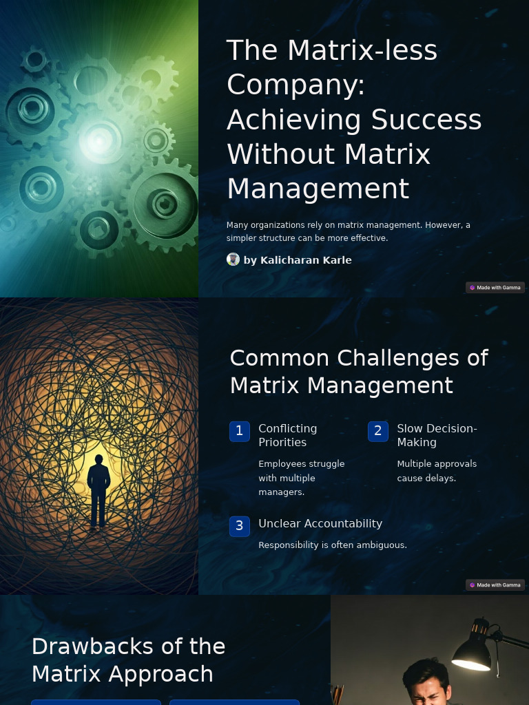 Success Without Matrix Management | PDF