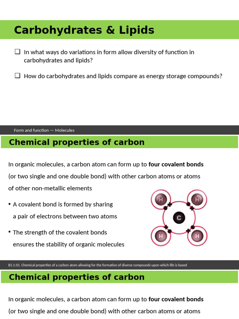 B1.1. Carbohydrates Lipids | PDF | Metabolism | Fatty Acid