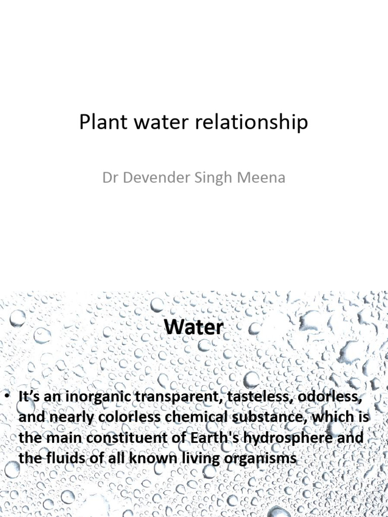 Plant Water Relationship: DR Devender Singh Meena | PDF | Diffusion | Osmosis