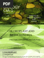 Chloroplast Labelled A Level Diagram | PDF | Chloroplast | Cell (Biology)