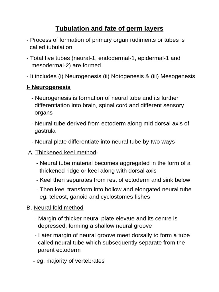 Fate of Germ Layers | PDF | Organ (Anatomy) | Developmental Biology