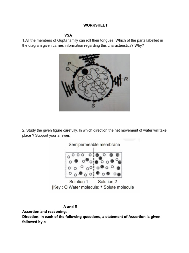 Biology Worksheet: Cell Structure & Functions | PDF | Cell (Biology ...