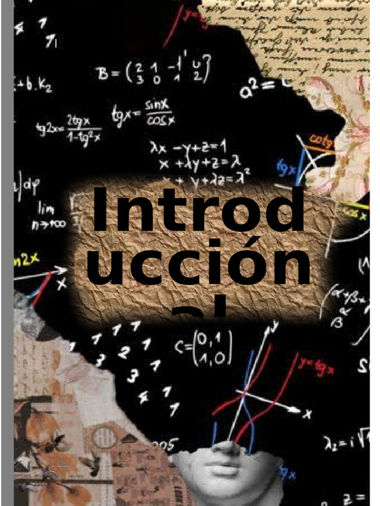 Introducción Al Calculo 6 | PDF | Ecuaciones | Sistema de ecuaciones lineales