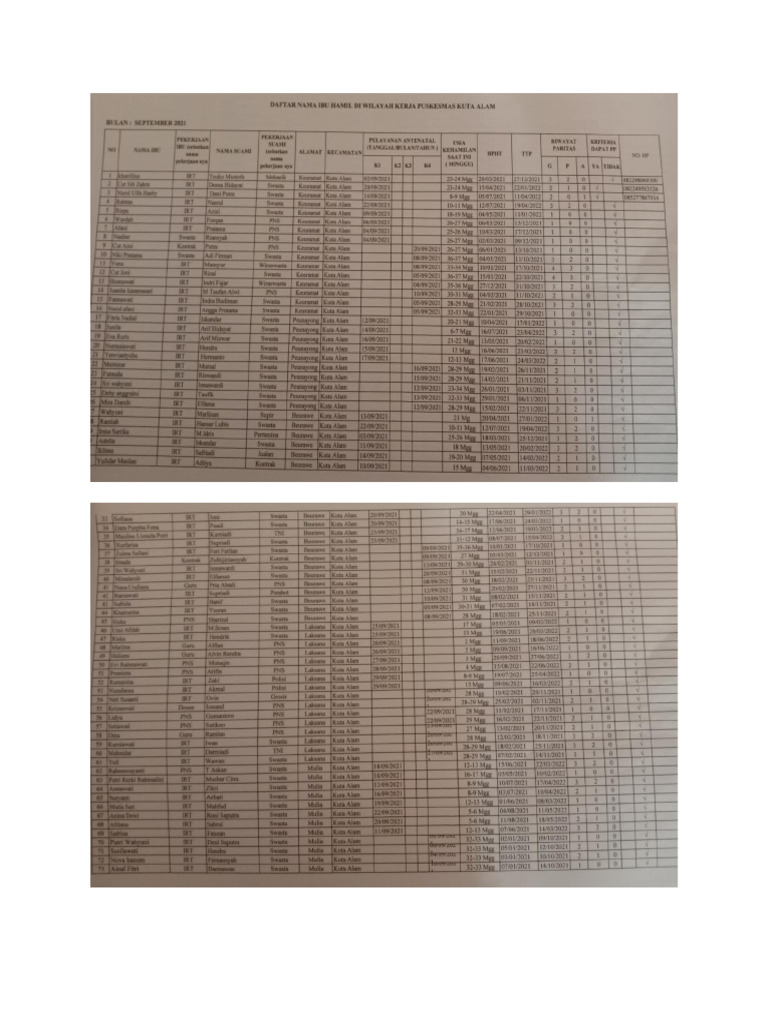 Data Kuta Alam | PDF