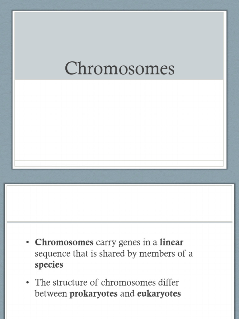 Chromosomes Presentation | PDF | Chromosome | Gene