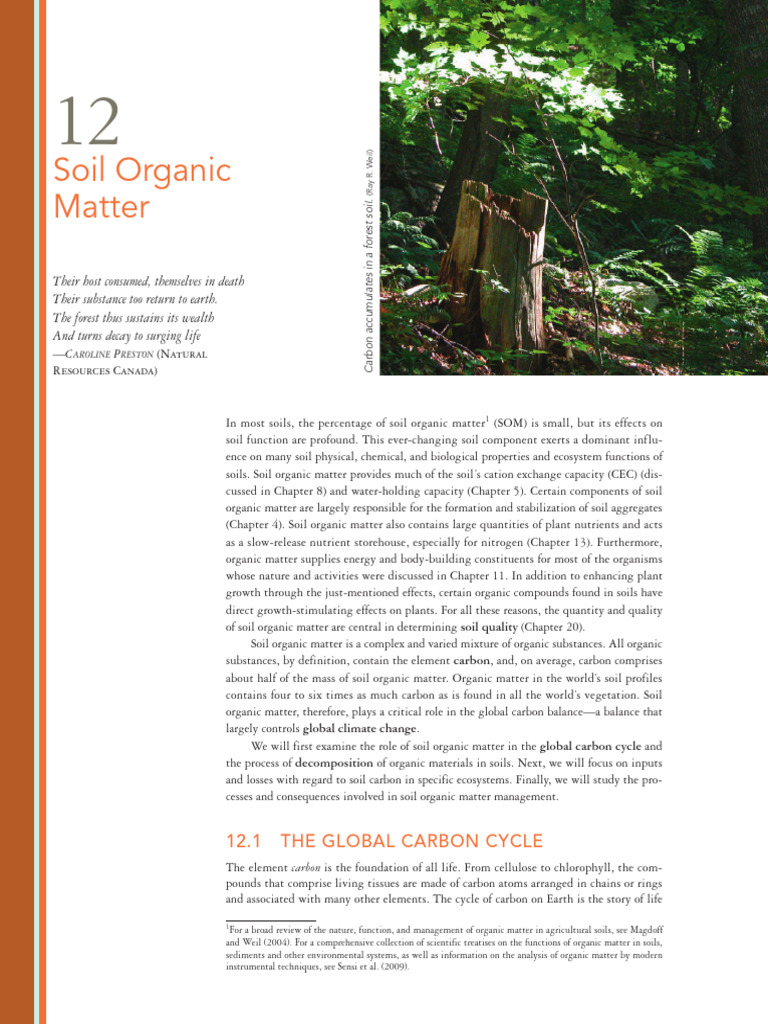 chapter twelve soil organic matter | PDF | Soil | Decomposition