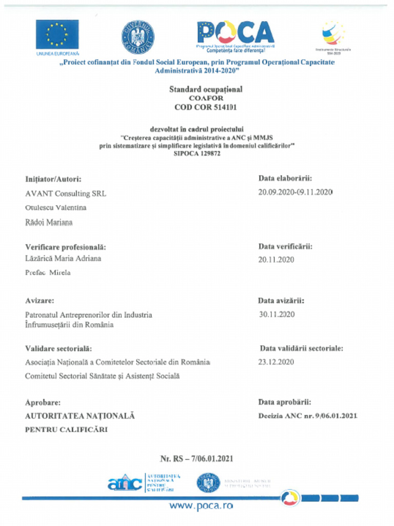 Standard Ocupational Coafor | PDF